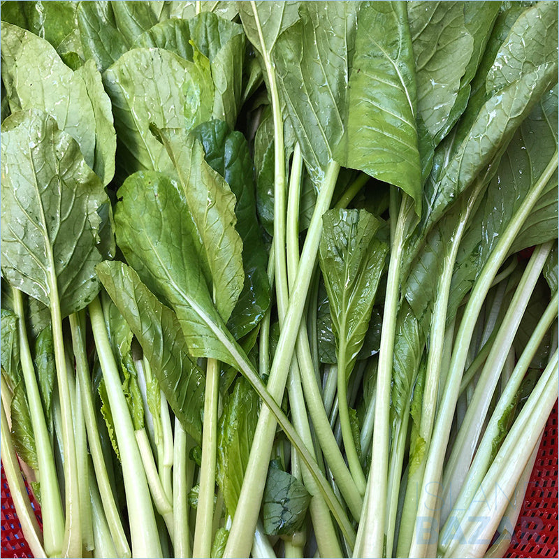 Brede Vert – Nature's Bazaar